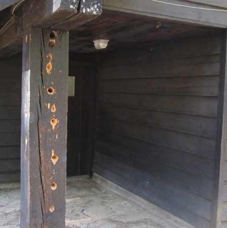 Services | Linchpin Structural Engineering