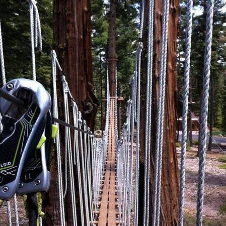 Services | Linchpin Structural Engineering